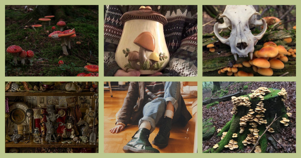 Cottagecore, goblincore, traumacore: что такое internet aesthetics и ...